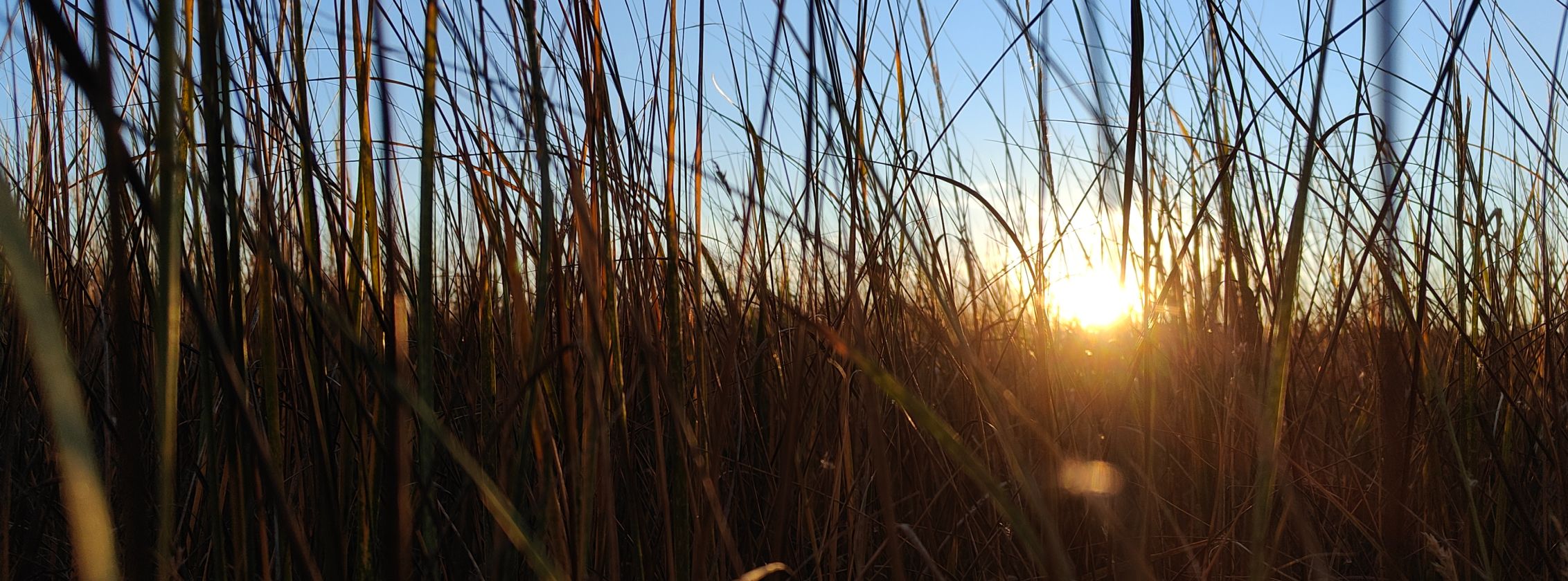 OPPO Find N2 轻巧好用，值得重用 | OPPO 官方网站